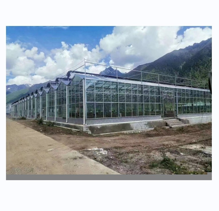 8m 9.6m 12m Span Width Multispan Greenhouse With Hydroponic System And ...